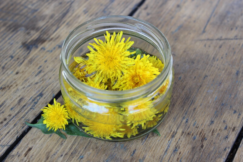 Dandelion Water - Marian Ryan
